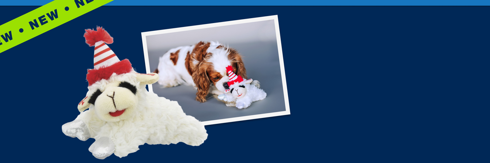 Pet Palette Distribution | Wholesale Pet Products